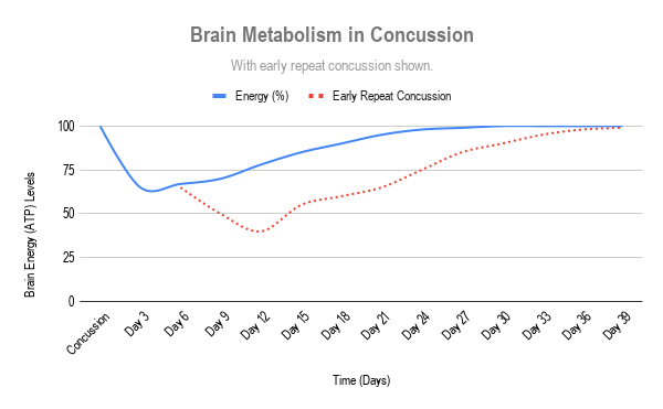 Life's big question: How long after a concussion can you drink alcohol ...