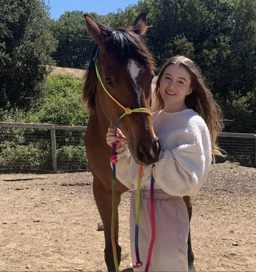 About — Lilly Ludwig: Animal Intuitive