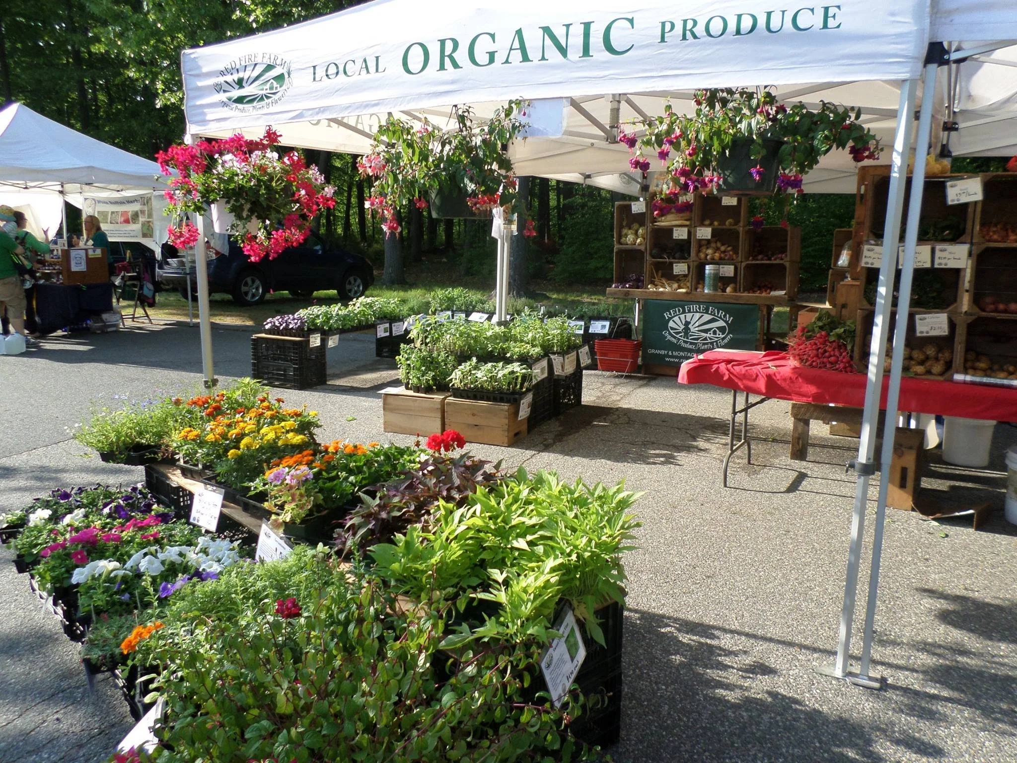 The Farmers Market at Forest Park in Springfield is open! — Mass ...