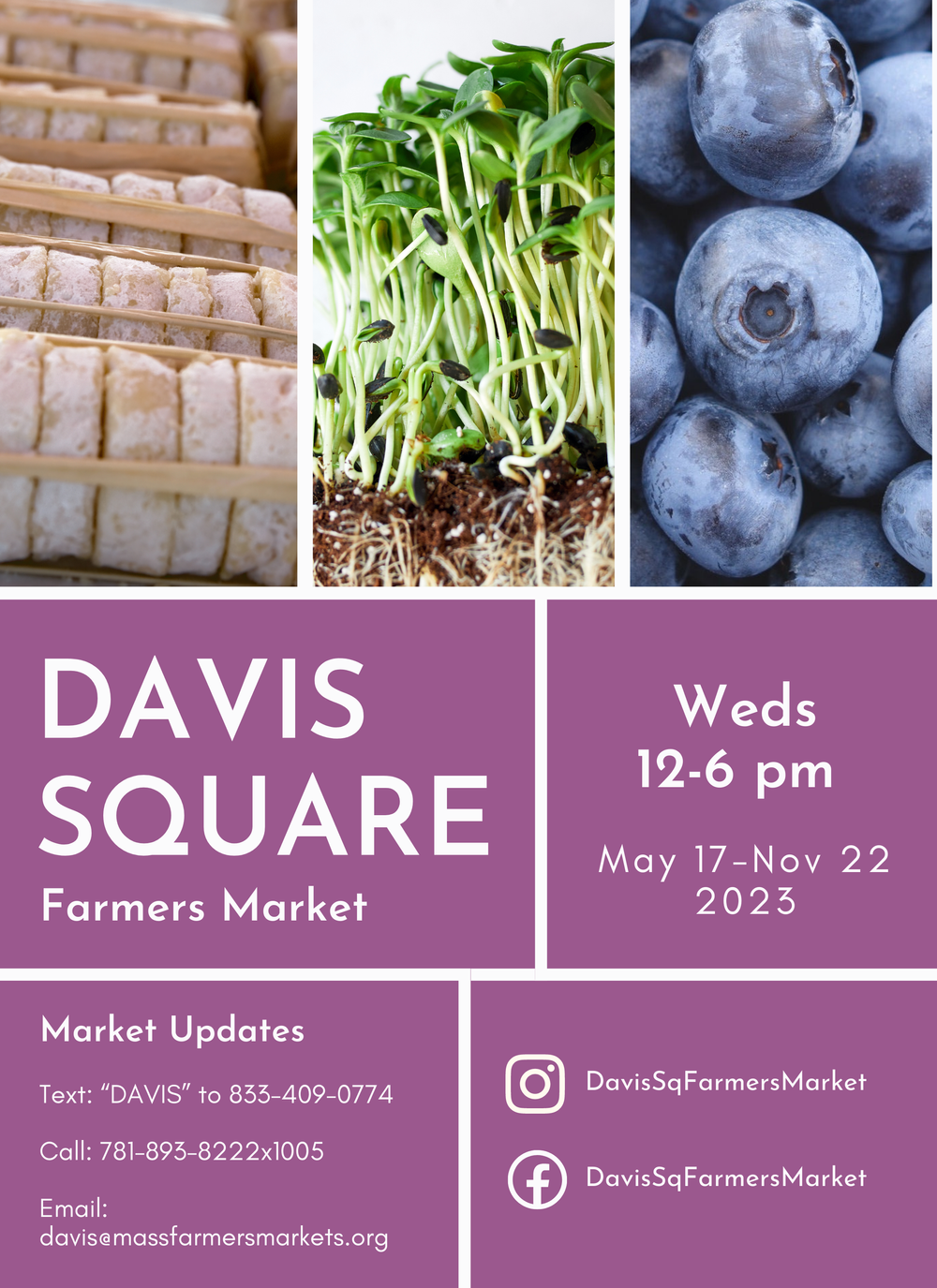 Davis Sq Farmers Market — Mass Farmers Markets