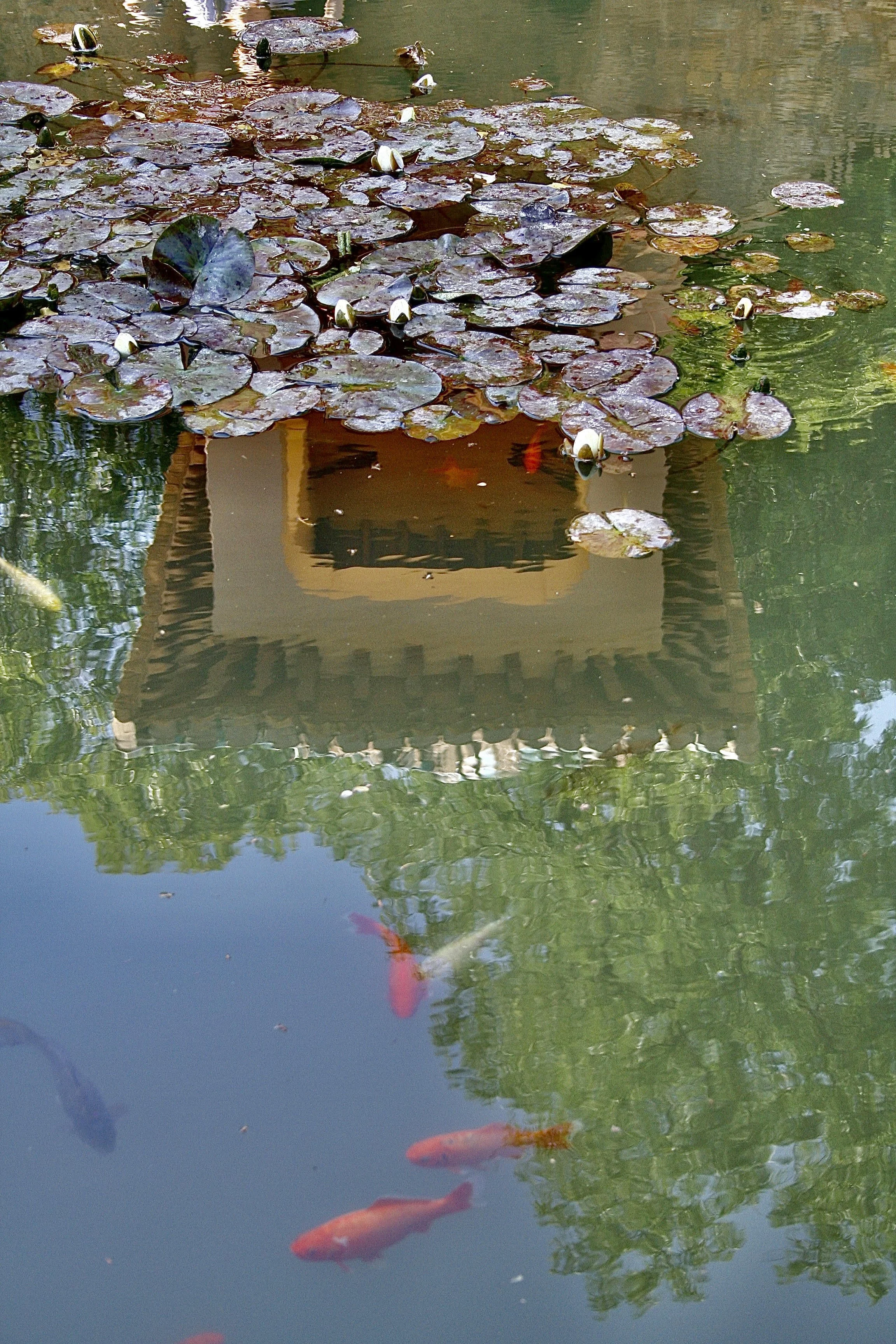 Elizabeth Barick Fall