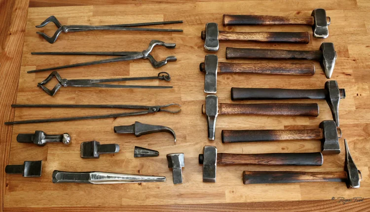 Maine Coon Cat Breeder