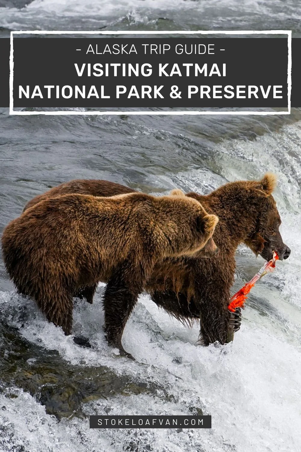 Ultimate Guide to Visiting Katmai National Park — STOKE LOAF VAN