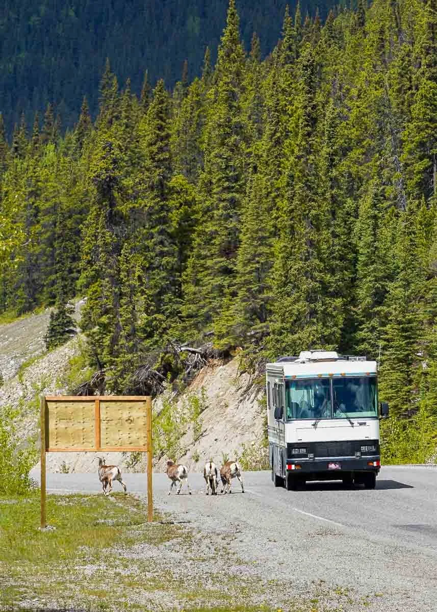 Van Life Road Trip - Driving to Alaska — STOKE LOAF VAN
