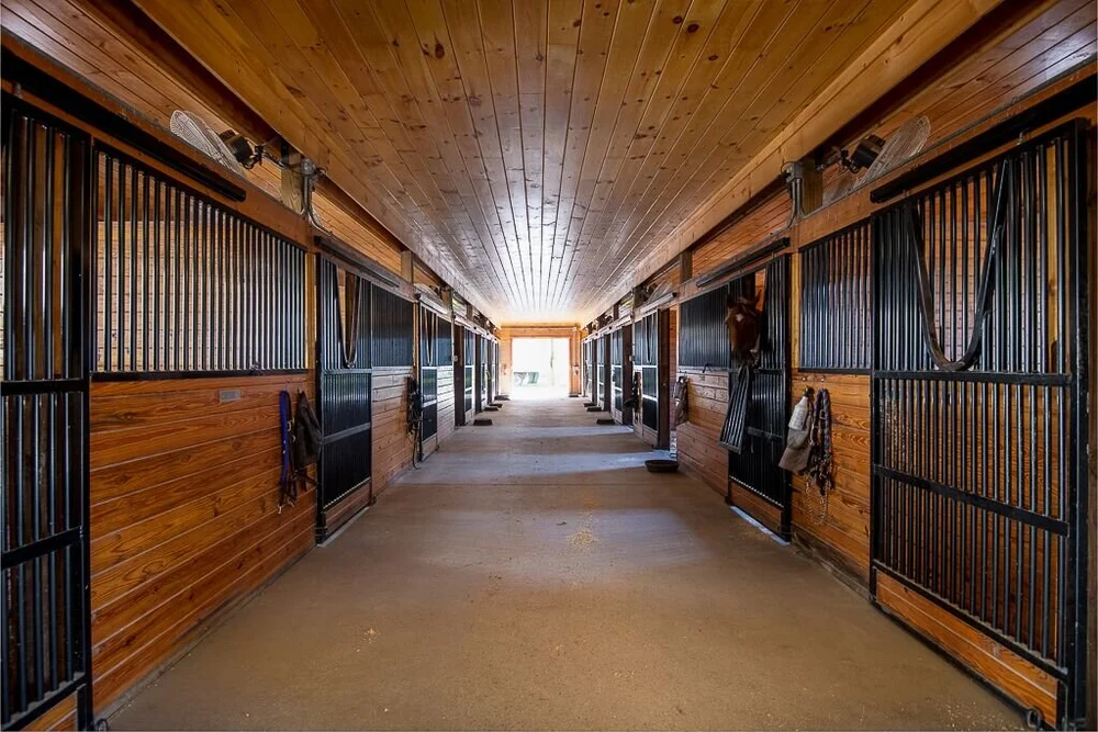 Boarding — TOPLINE STABLES