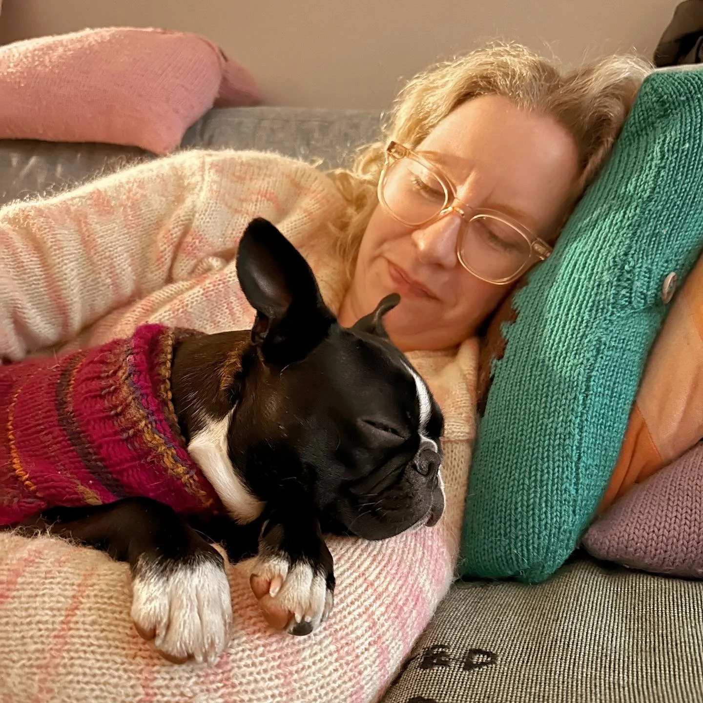 The Storybook Rabbit