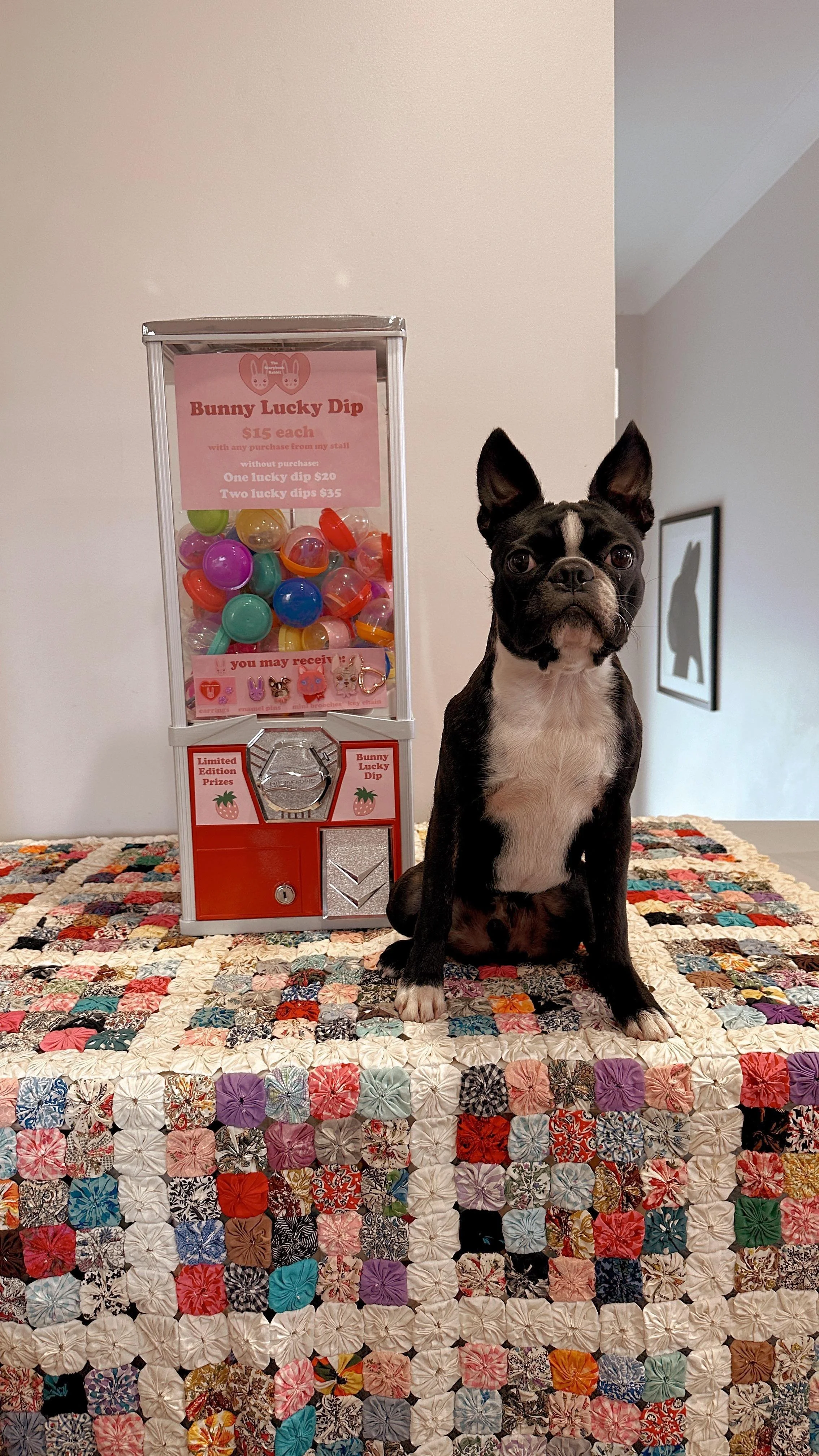 The Storybook Rabbit