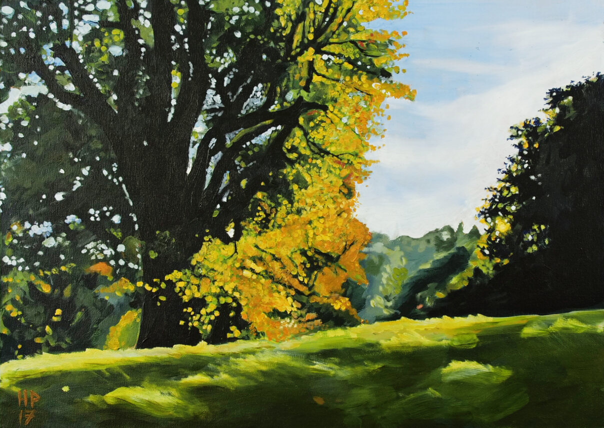 Victoria Park Oil Paintings — Helen Perry