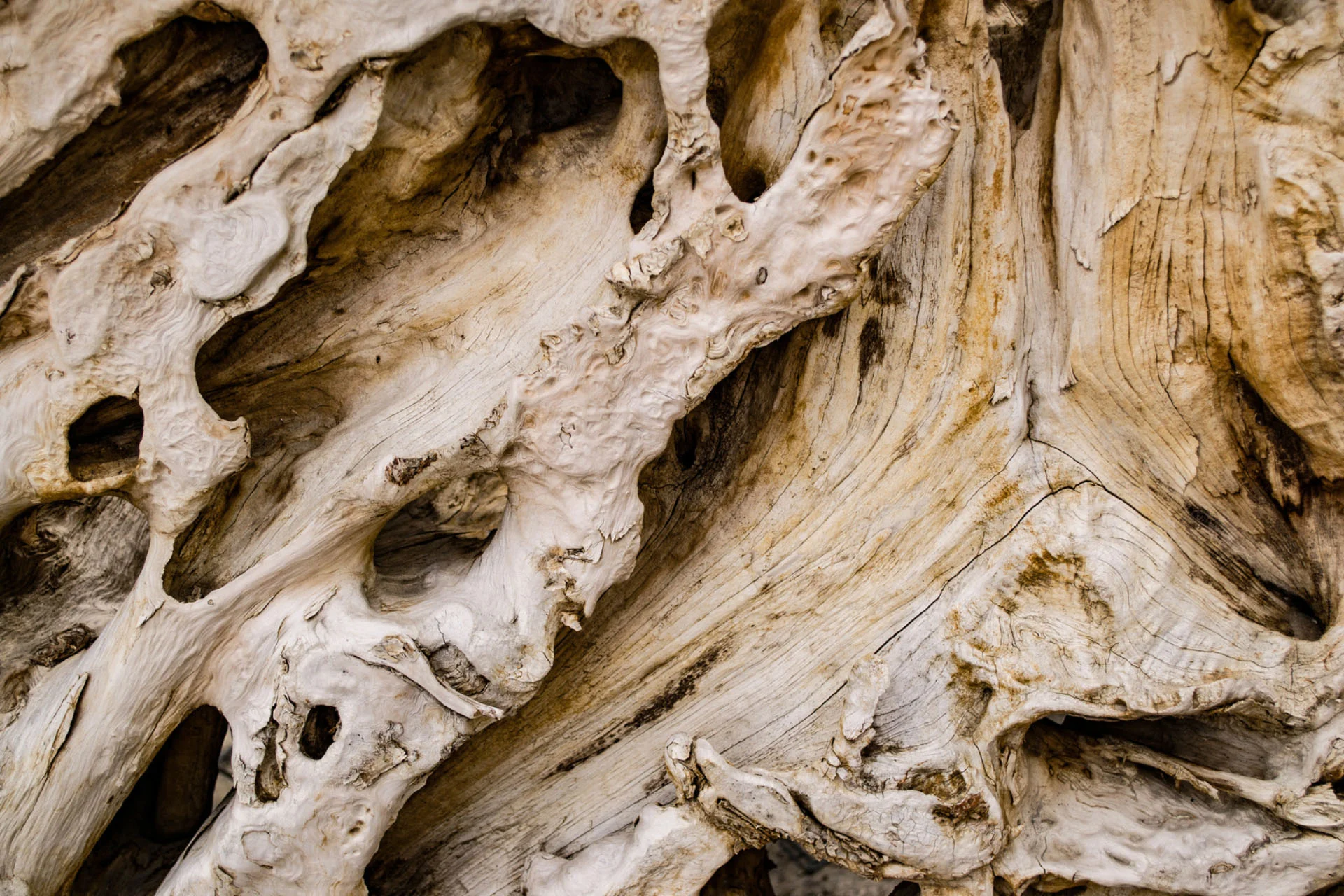 Wood — Aedi Concept