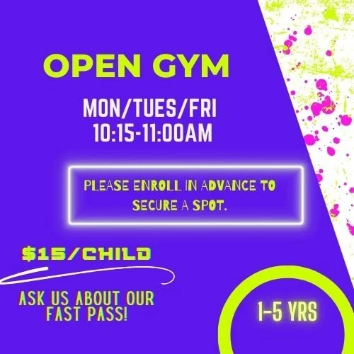 Open Gym — The Kid's Gym
