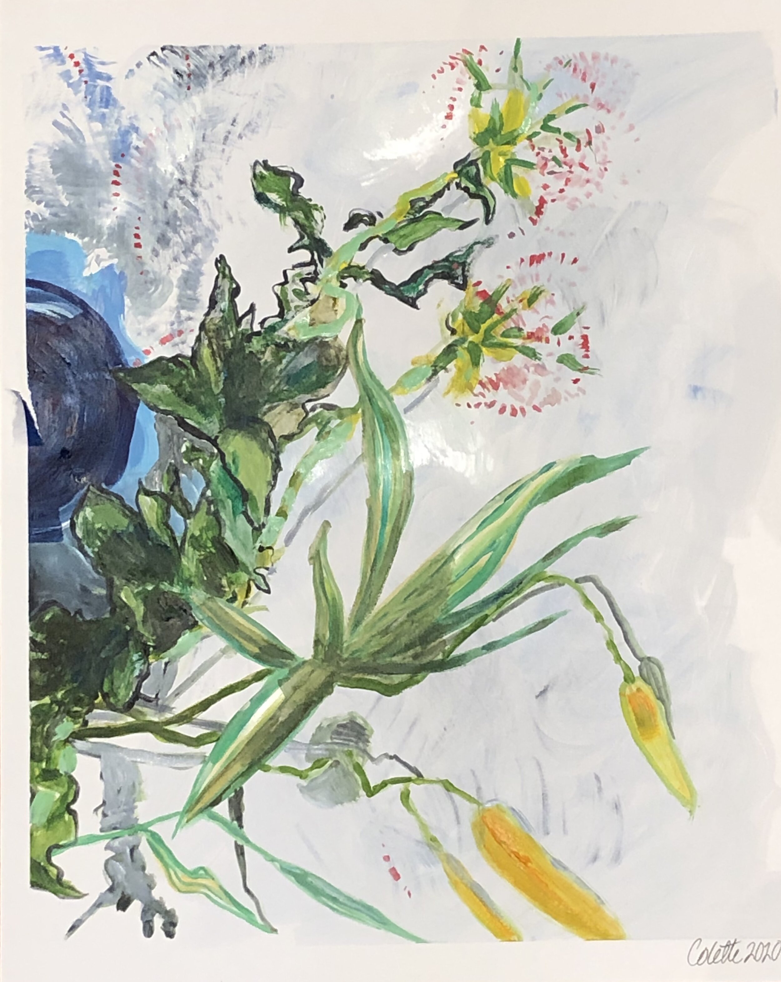 Paintings on paper — Colette Wright Adams