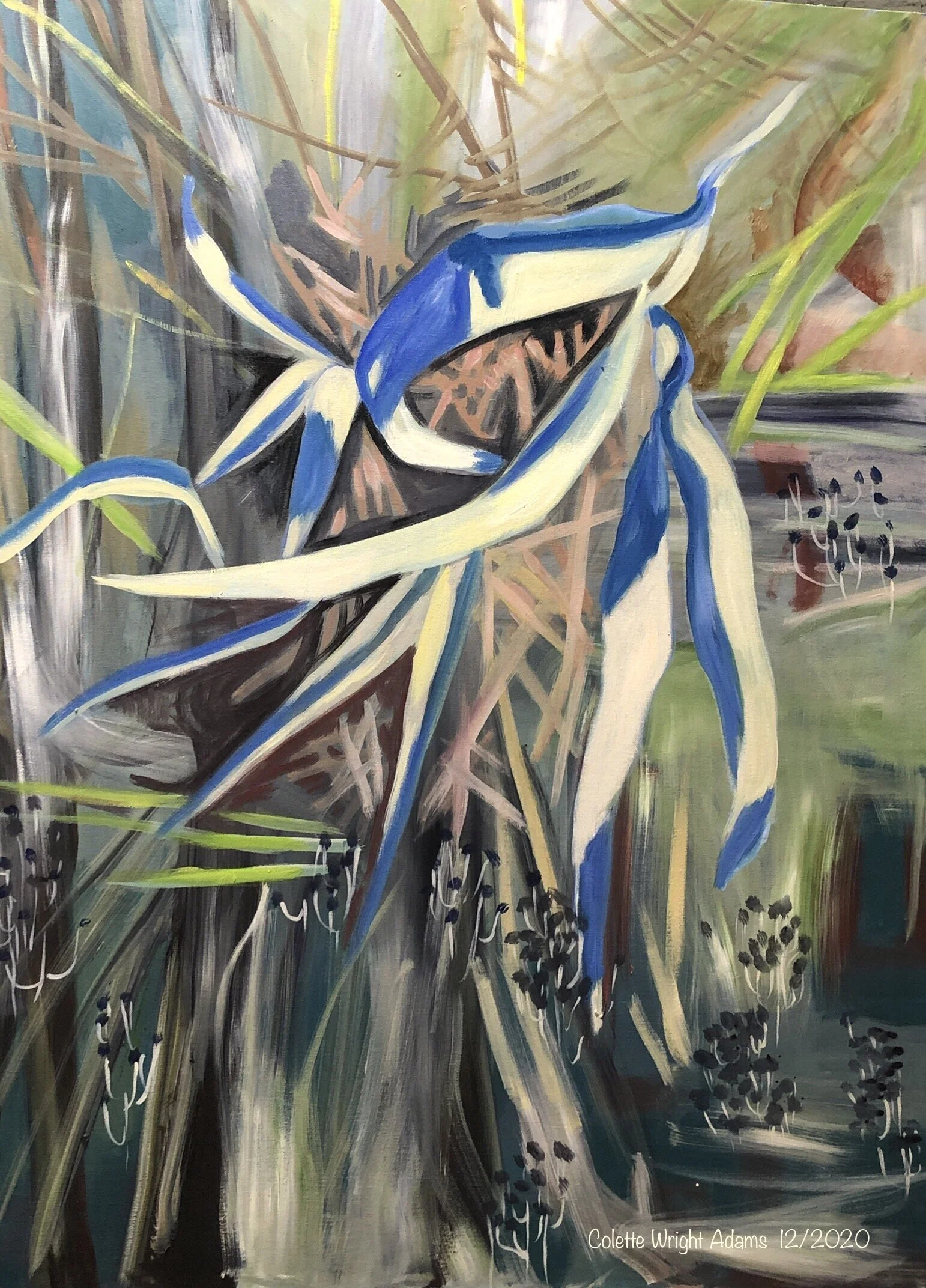 Colette Wright Adams