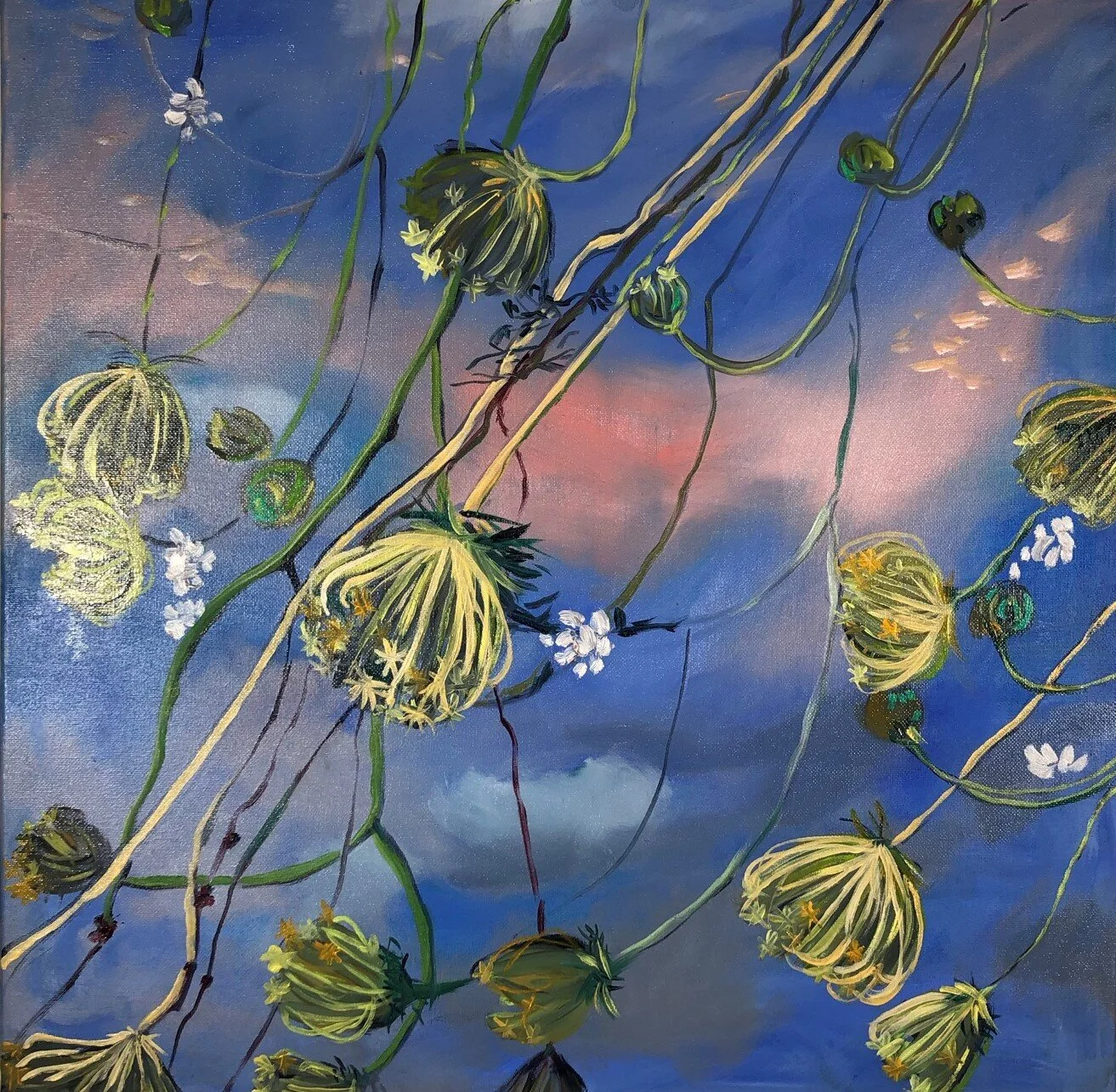 Colette Wright Adams