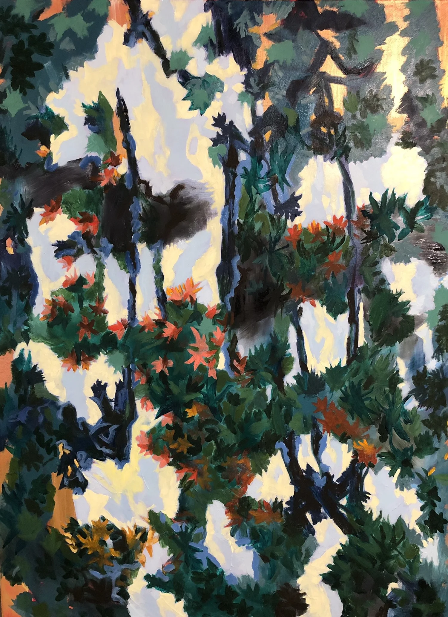 Colette Wright Adams