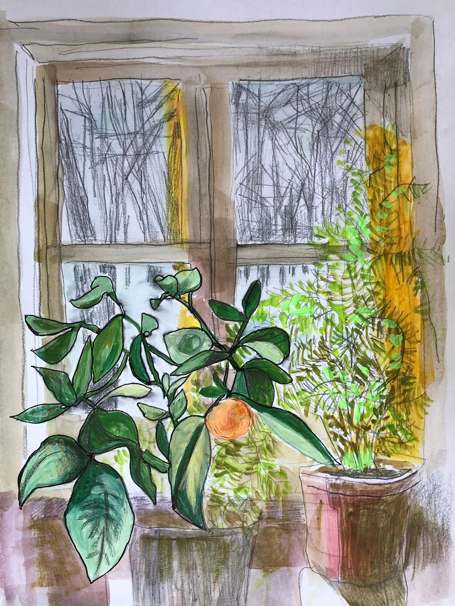 Resident Artist - North Park Village Nature Center — Colette Wright Adams