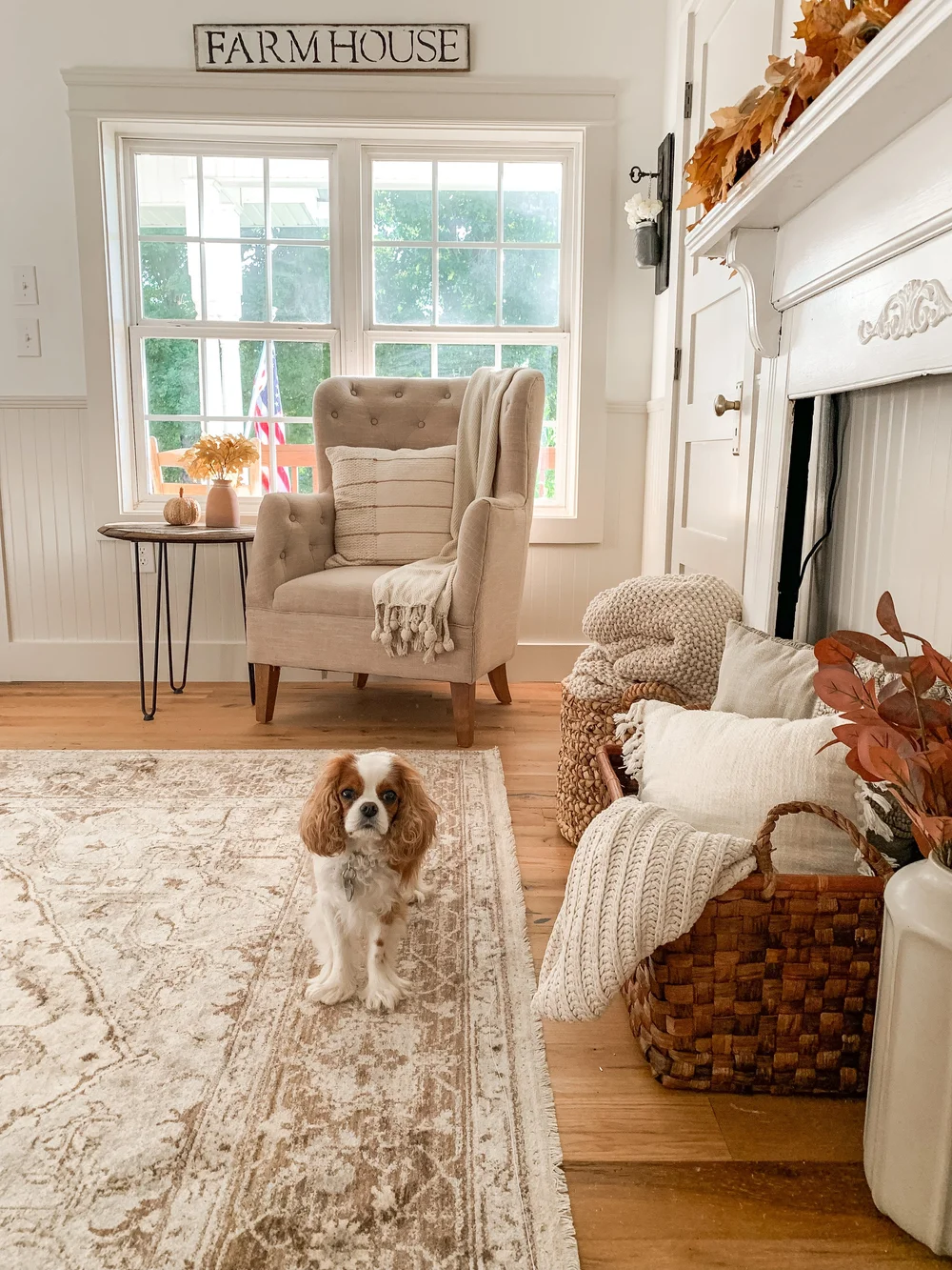 New Living Room Rug with Boutique Rugs — Home With Joanie