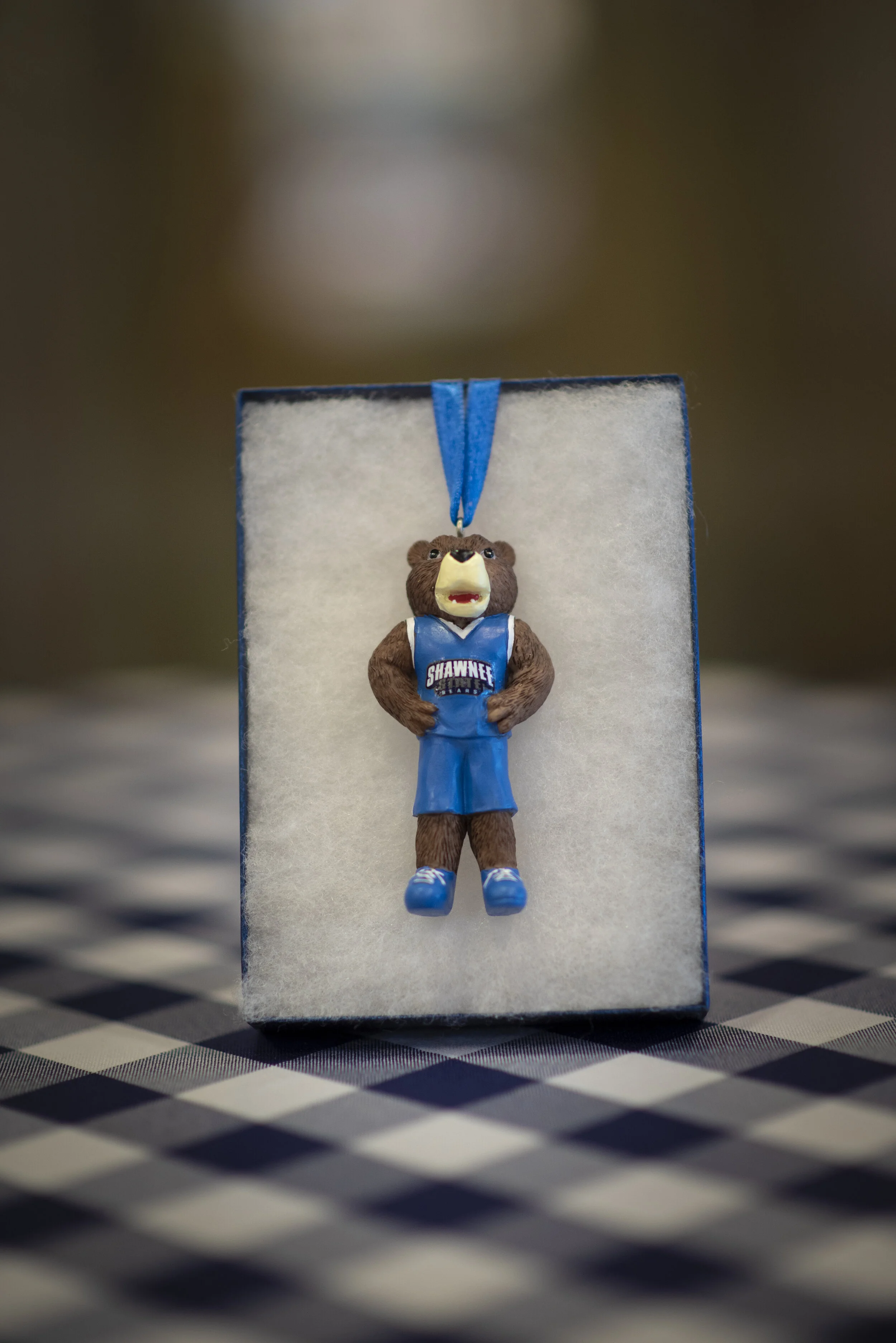 Shop — Shawnee State Alumni Association