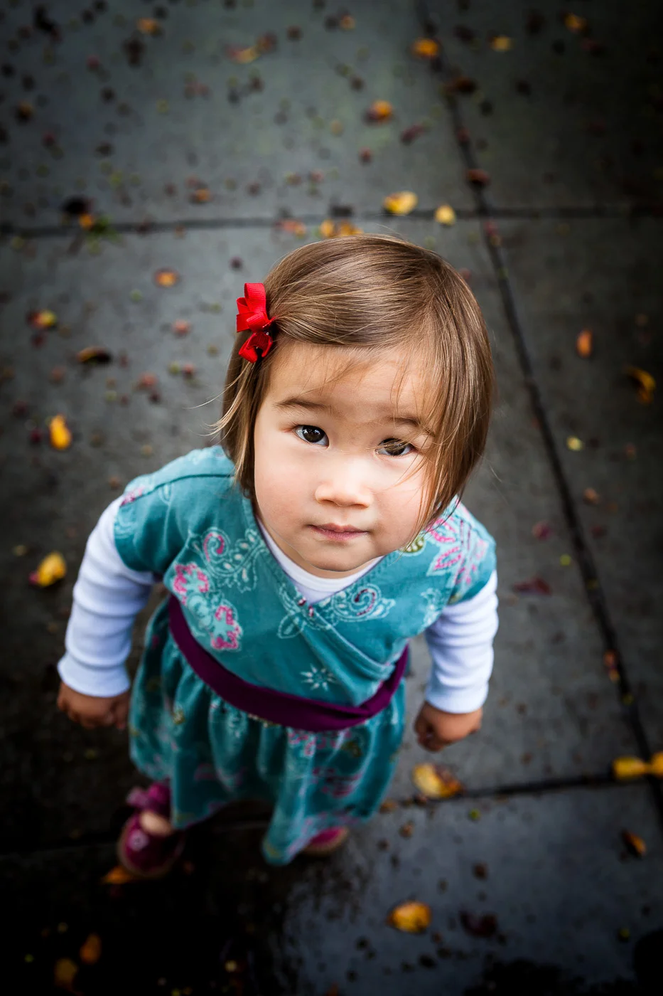 Bay Area Brand and Family Photographer