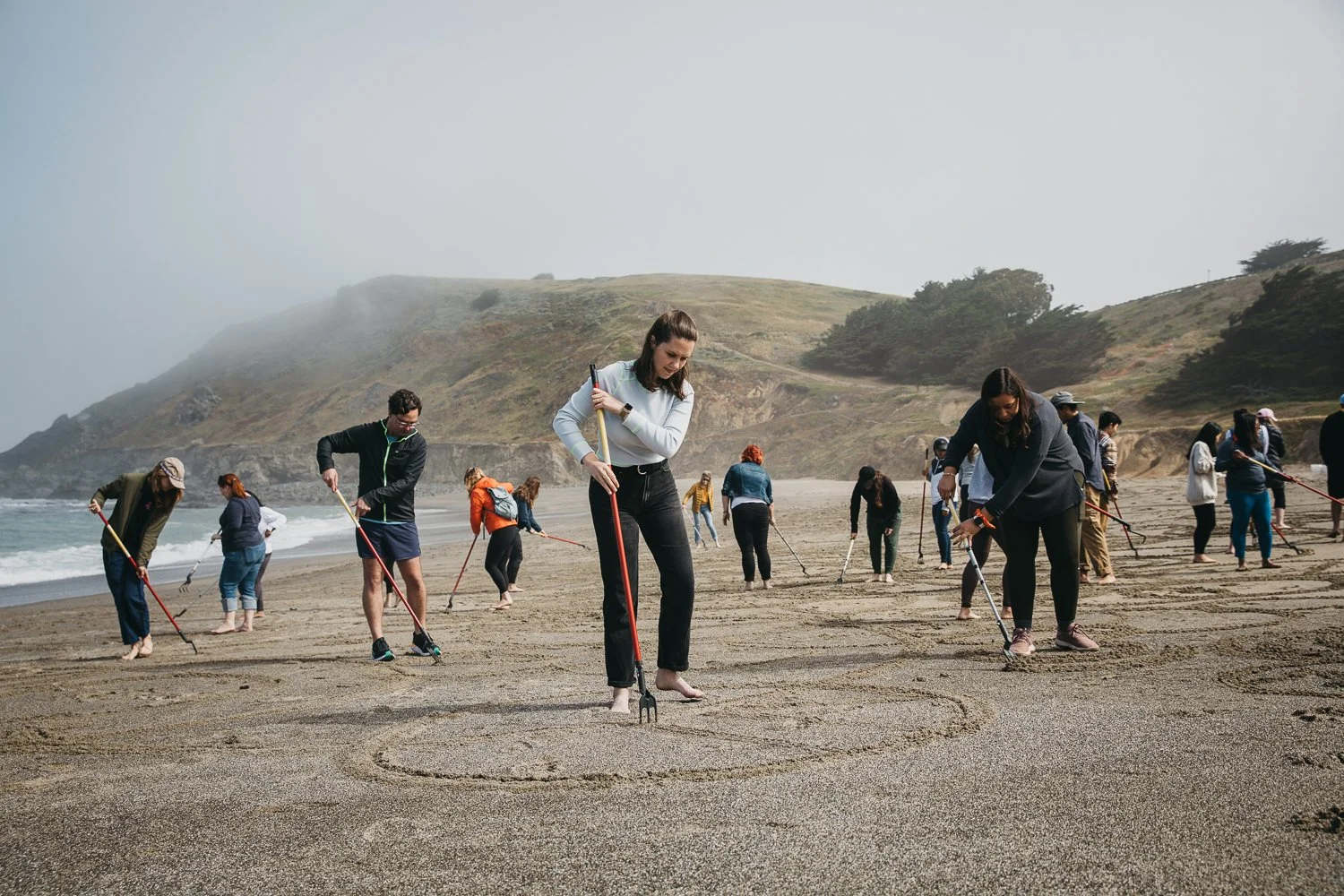 Bay Area Brand and Family Photographer