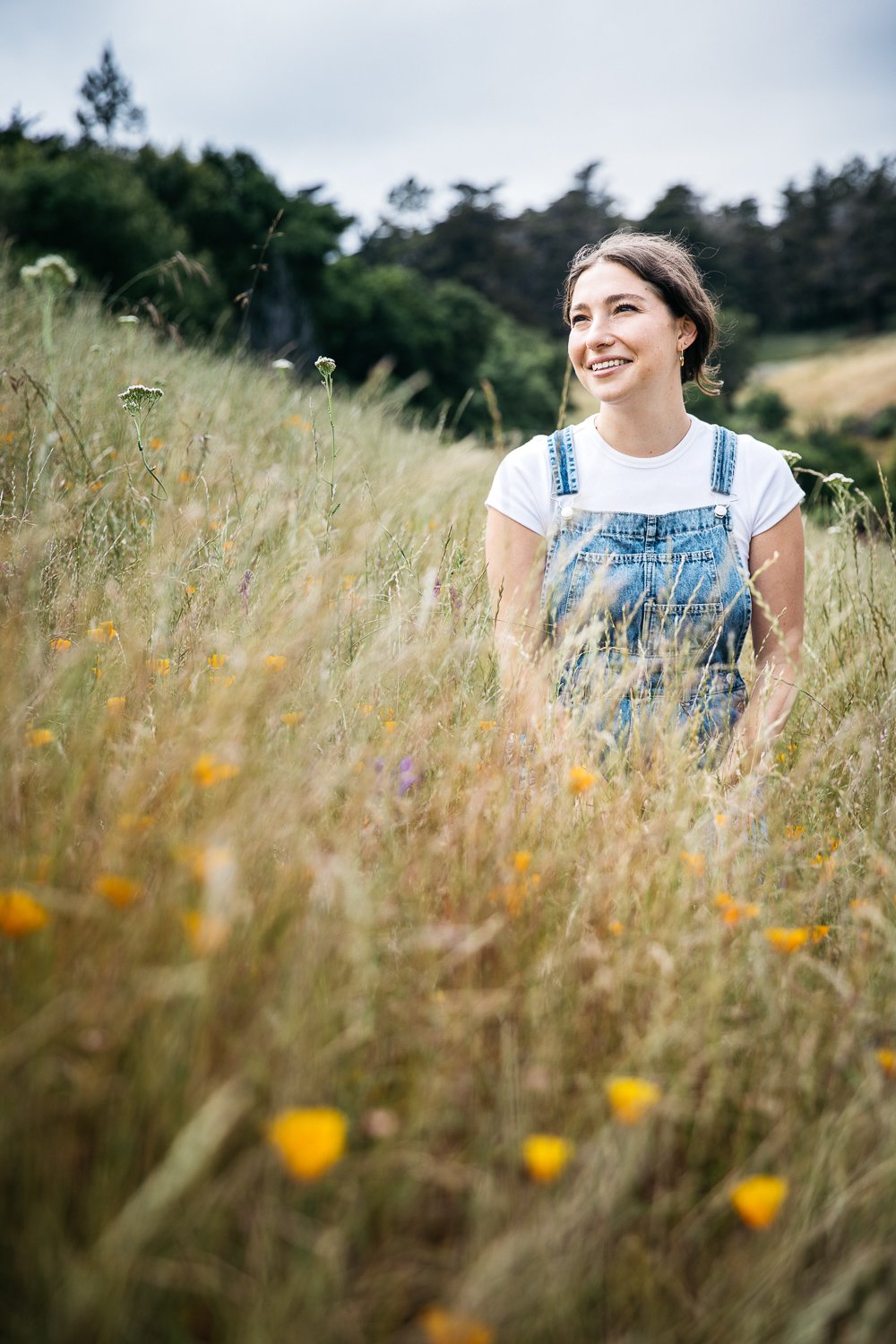 San Francisco Bay Area Family and Newborn Photographer — Allison Busch ...