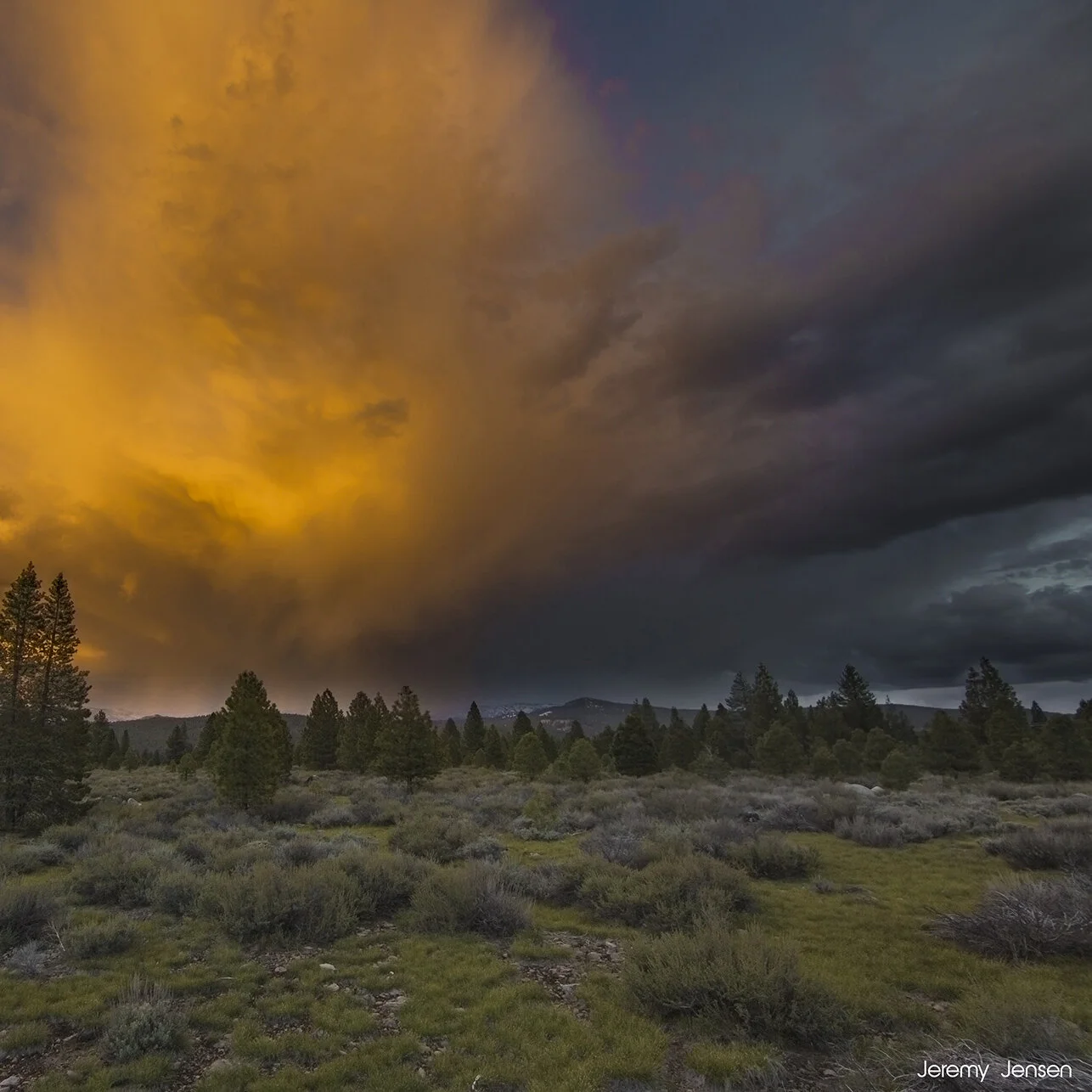 Learn Intro — Mountain Area Preservation