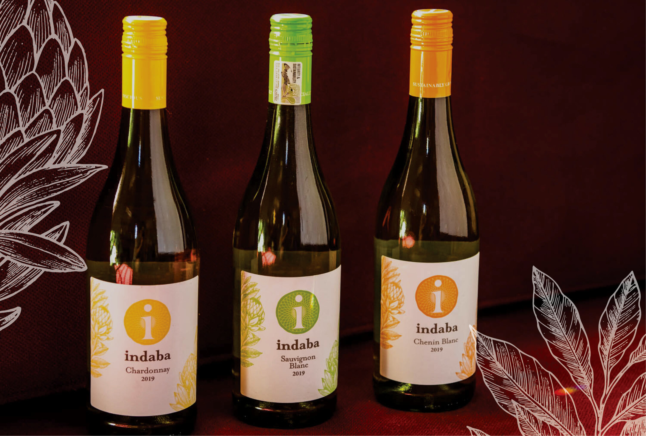 Press — Indaba Wines