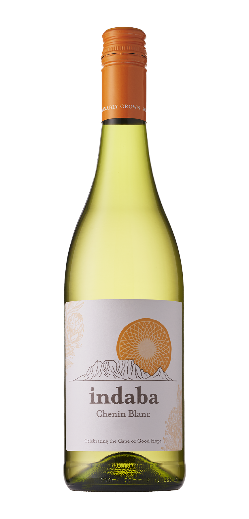 Wines — Indaba Wines
