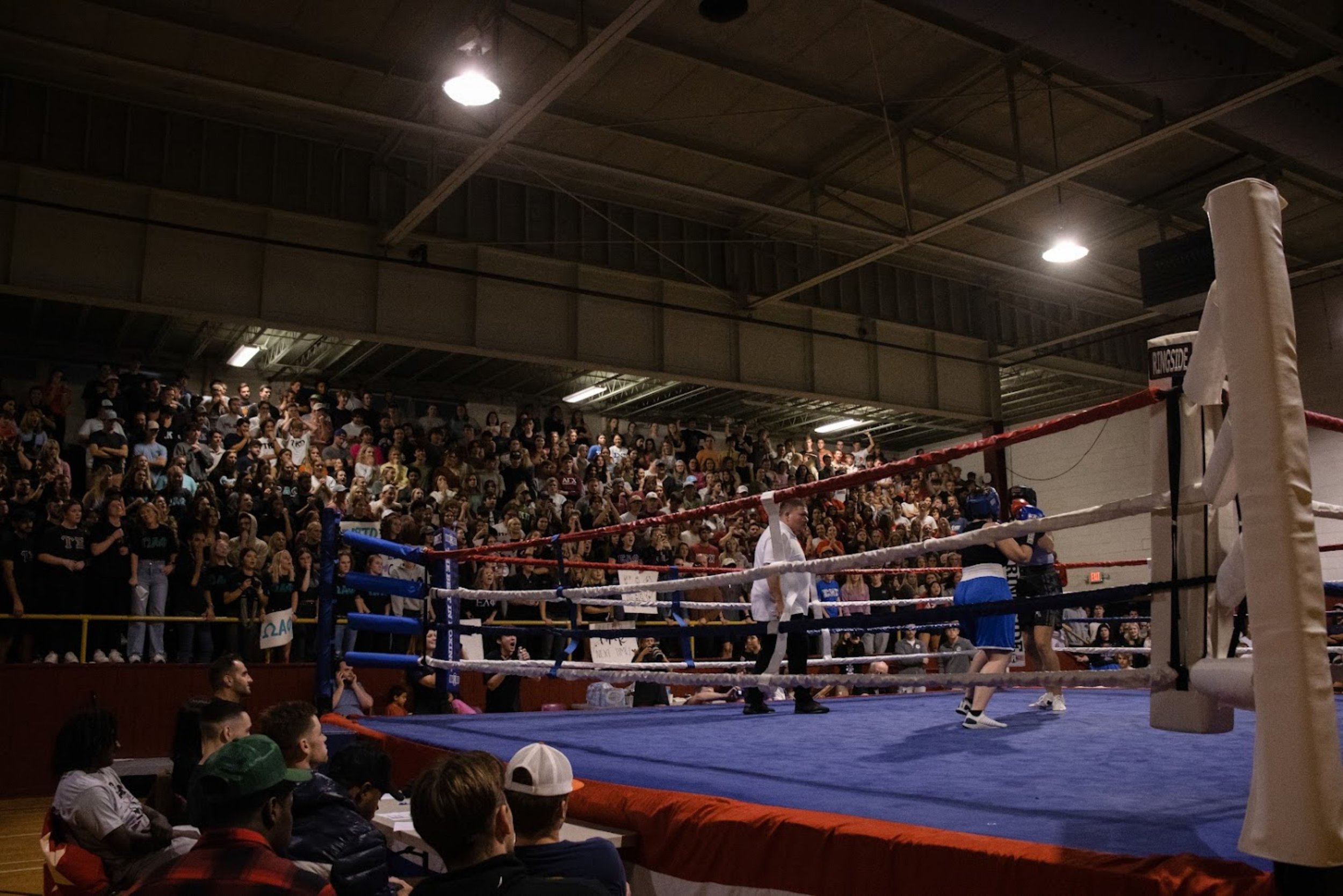 Fight Night SmackDown! — Lee Clarion