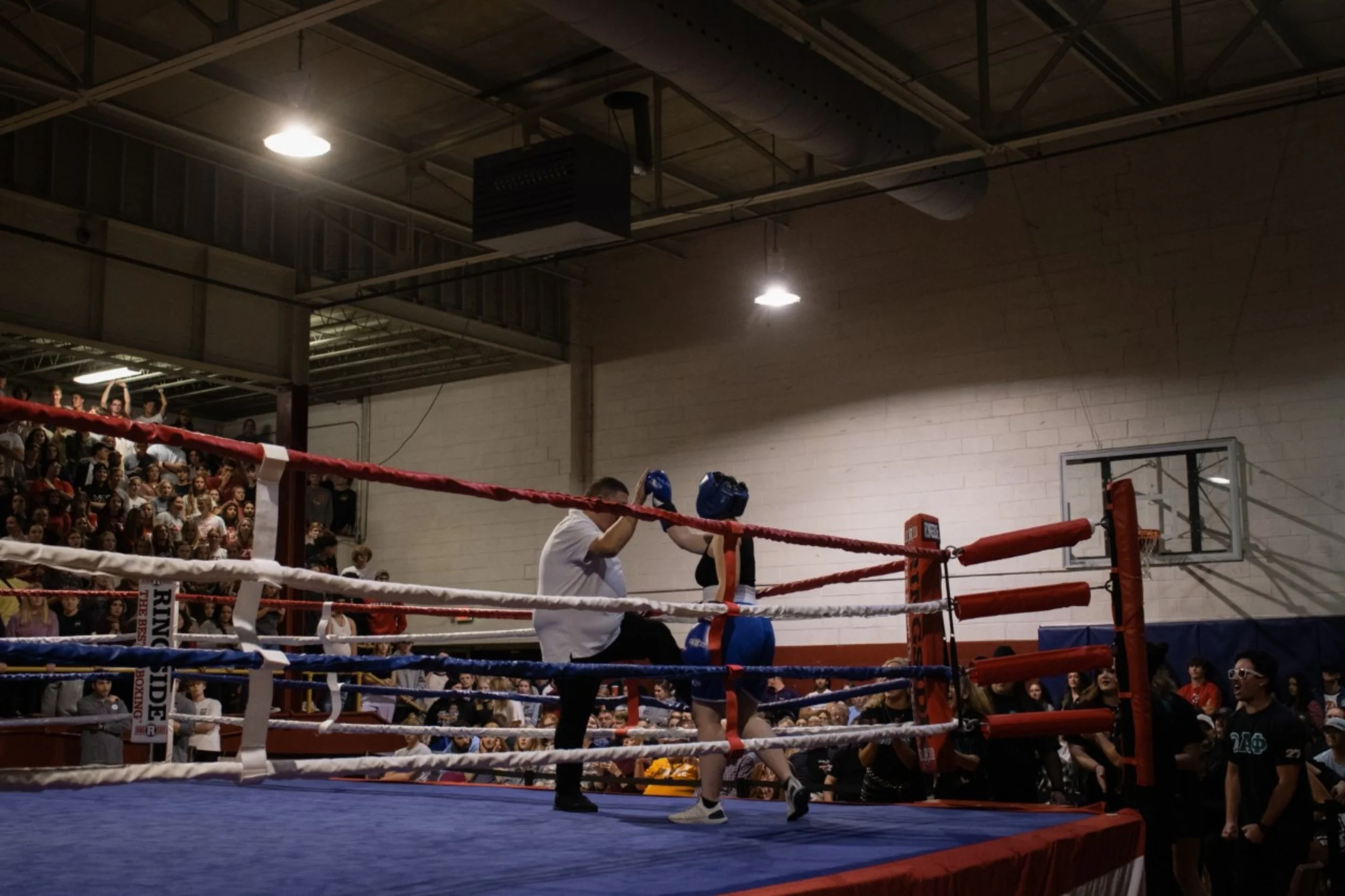 Fight Night SmackDown! — Lee Clarion