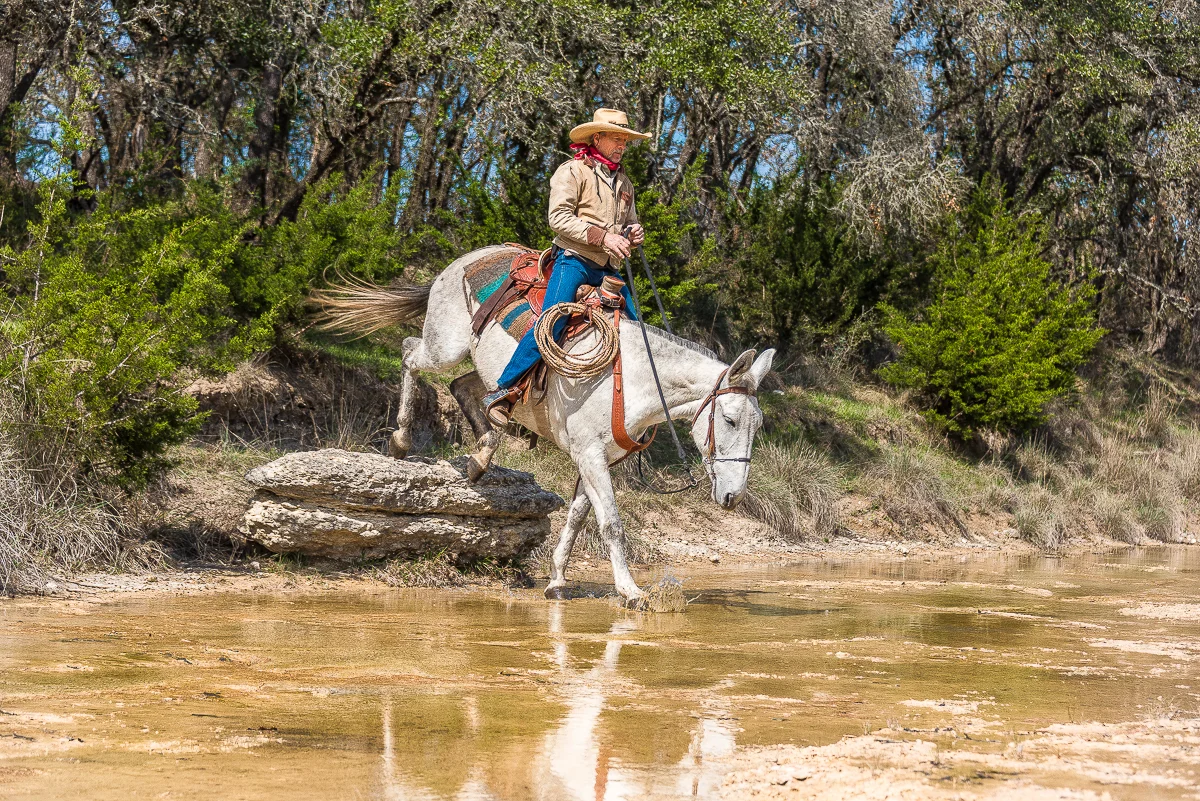 Paul Garrison III — Juan Santillan