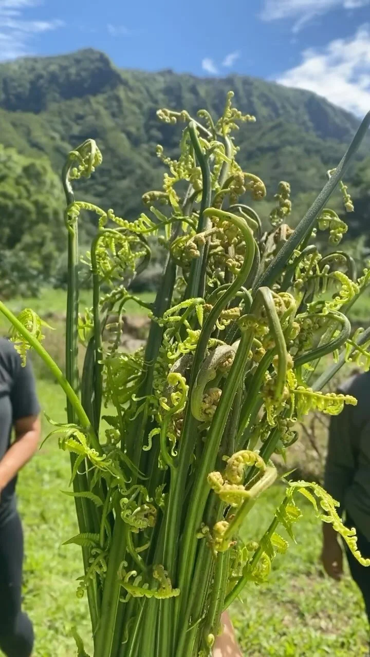 Hoala ʻĀina Kūpono