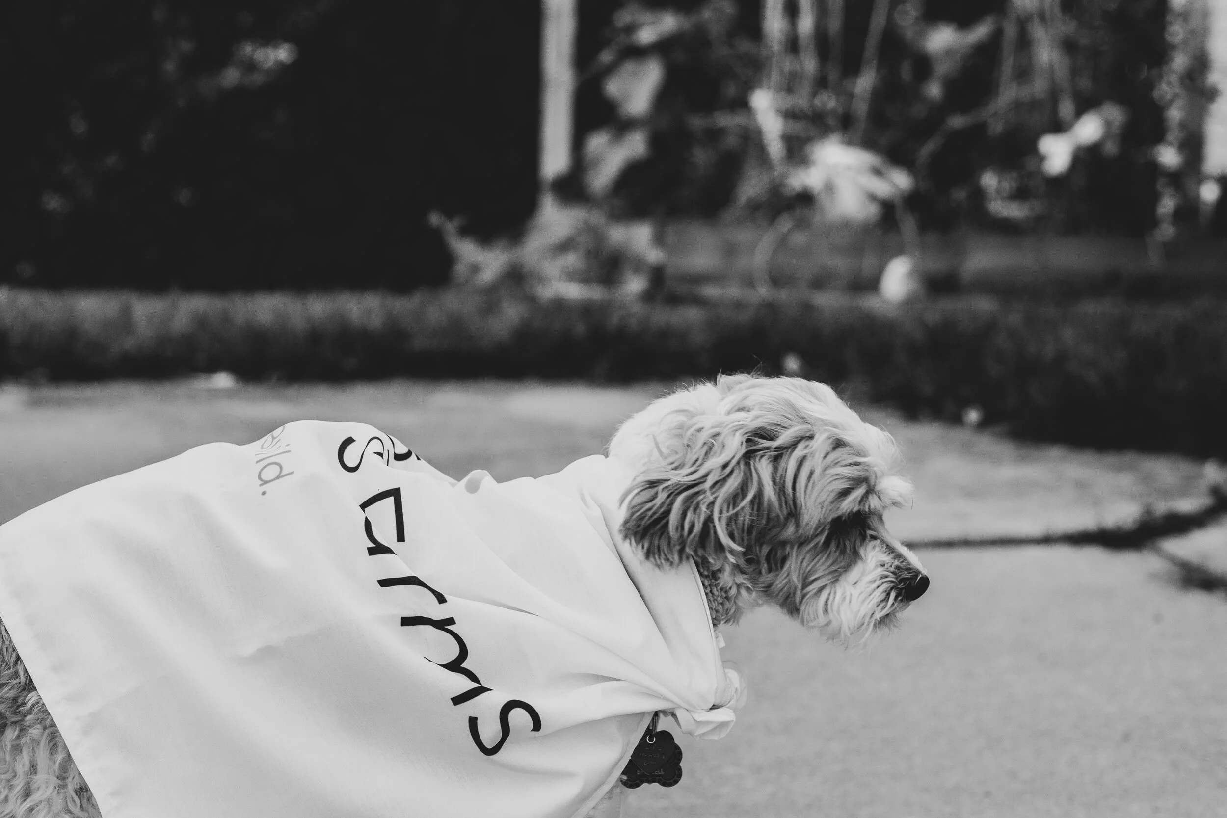 About — Fennigan's Farms