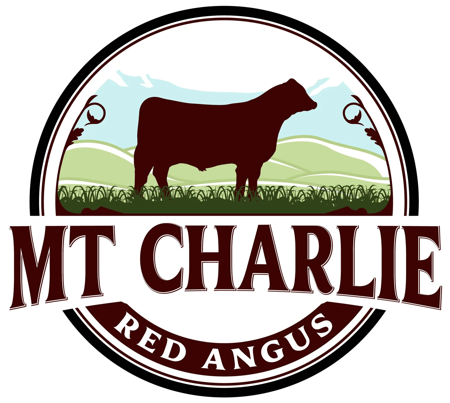 Mt Charlie Red Angus