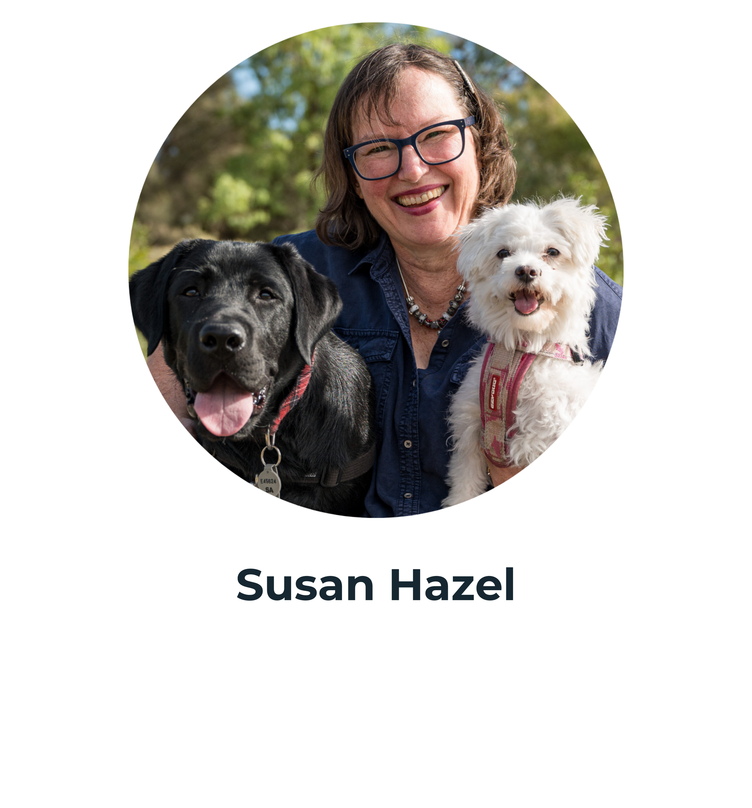 Susan Hazel — Raising the bar