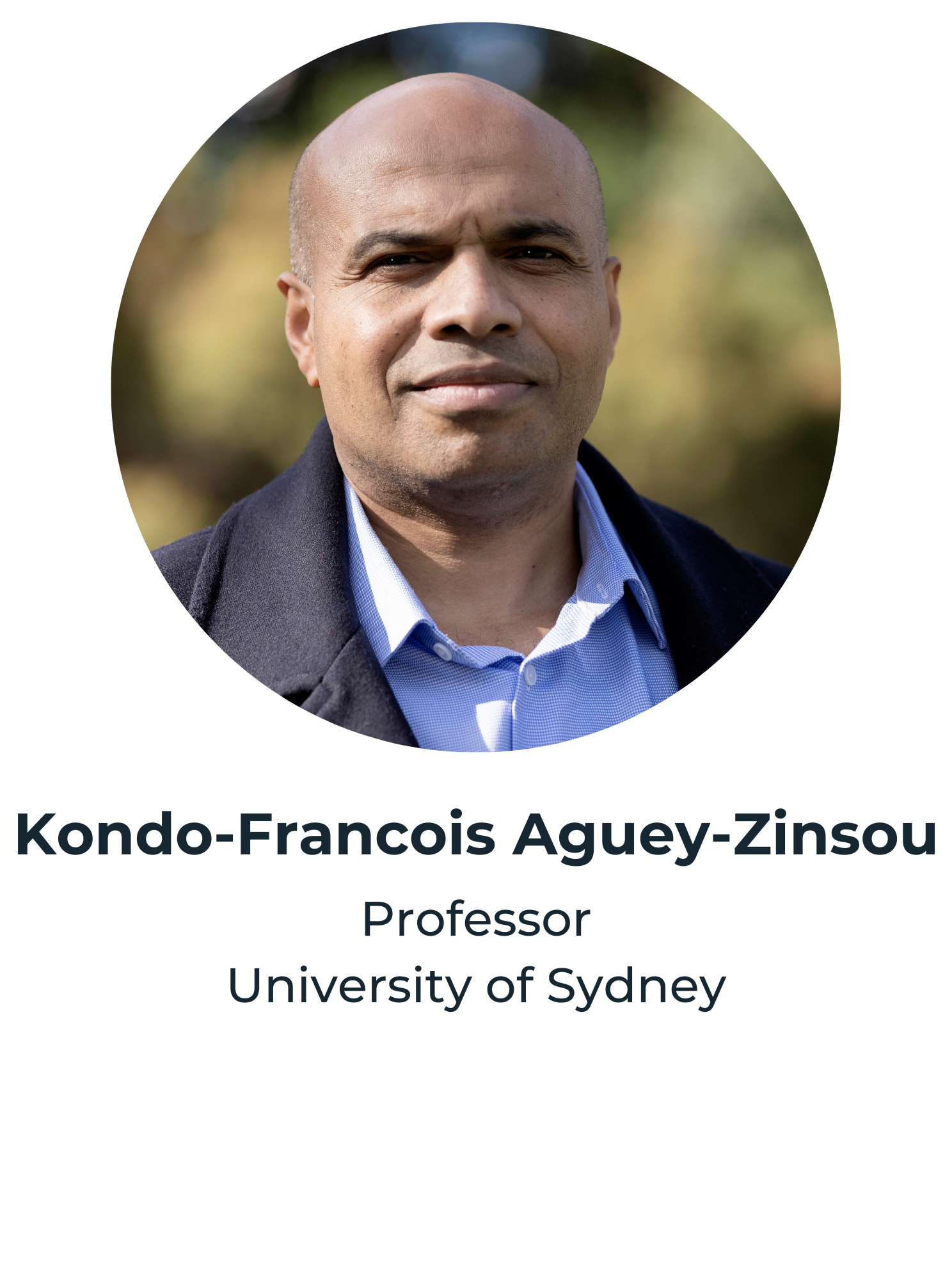 Kondo-Francois Aguey-Zinsou — Raising the bar