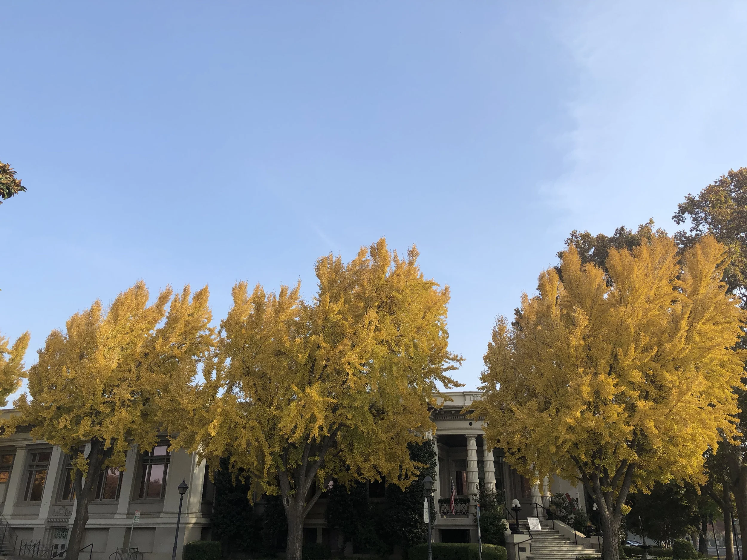 Our History — Downtown Modesto Partnership