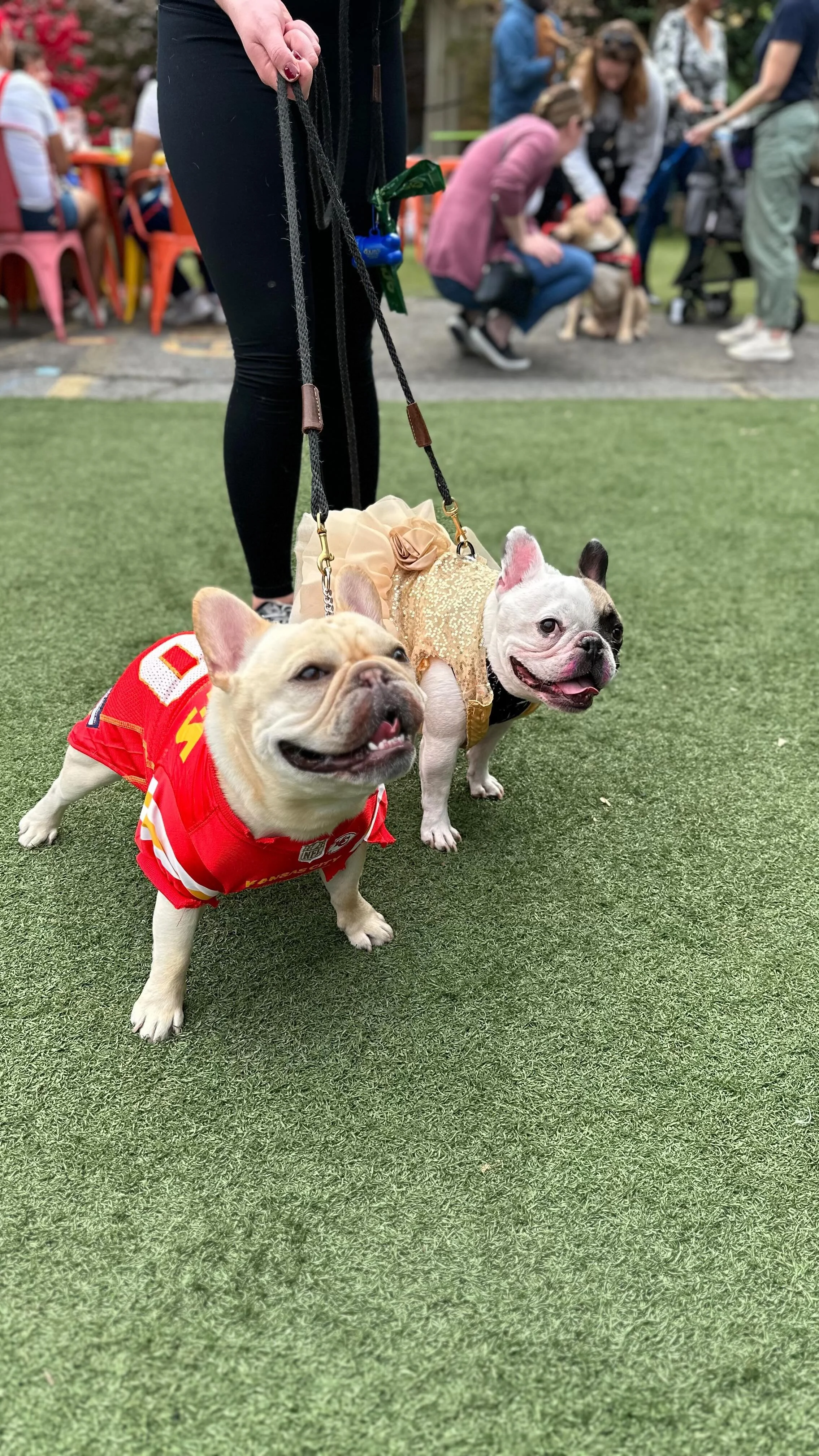 Bark + Boarding: The One Stop Pet Shop