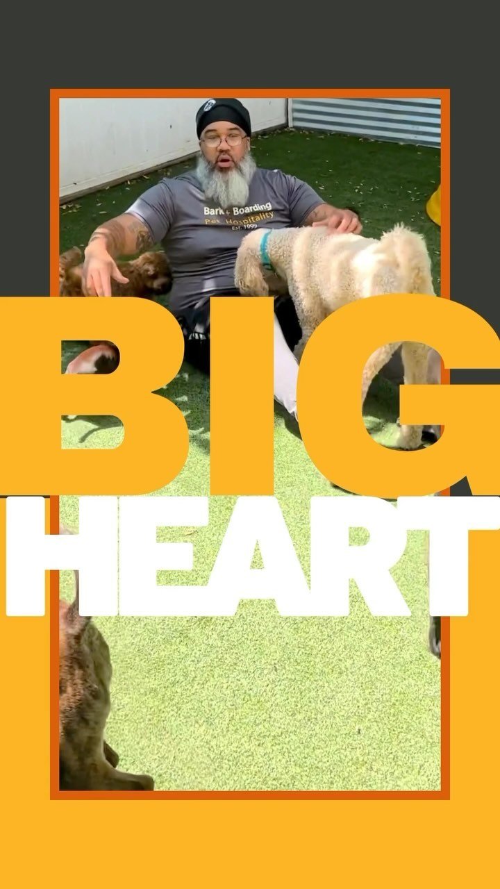 Bark + Boarding: The One Stop Pet Shop