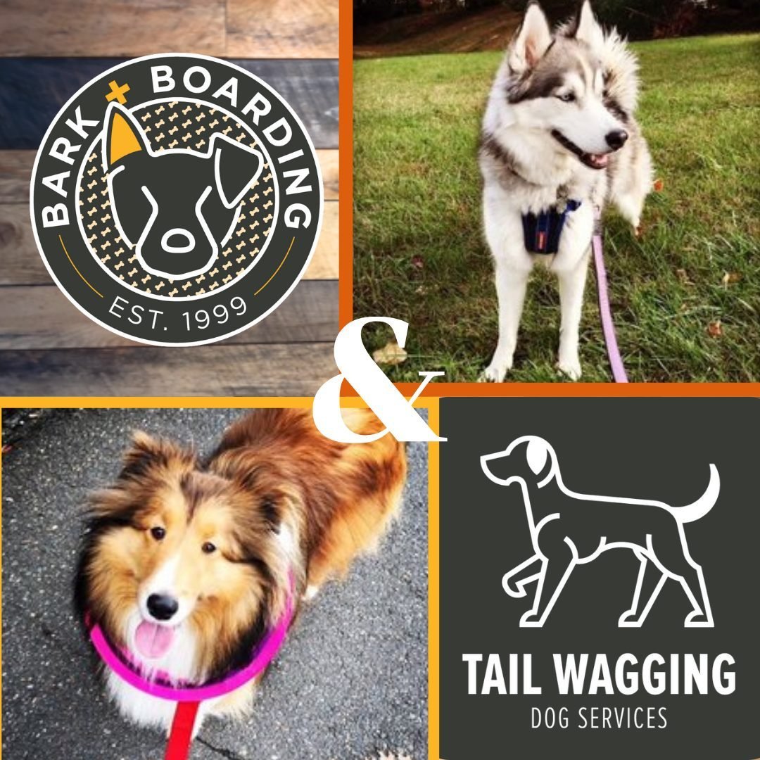 Bark + Boarding: The One Stop Pet Shop