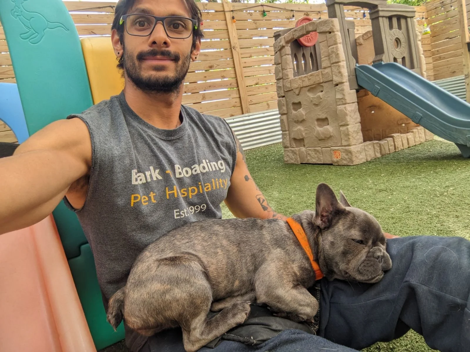 Meet our Training Team! — Bark + Boarding