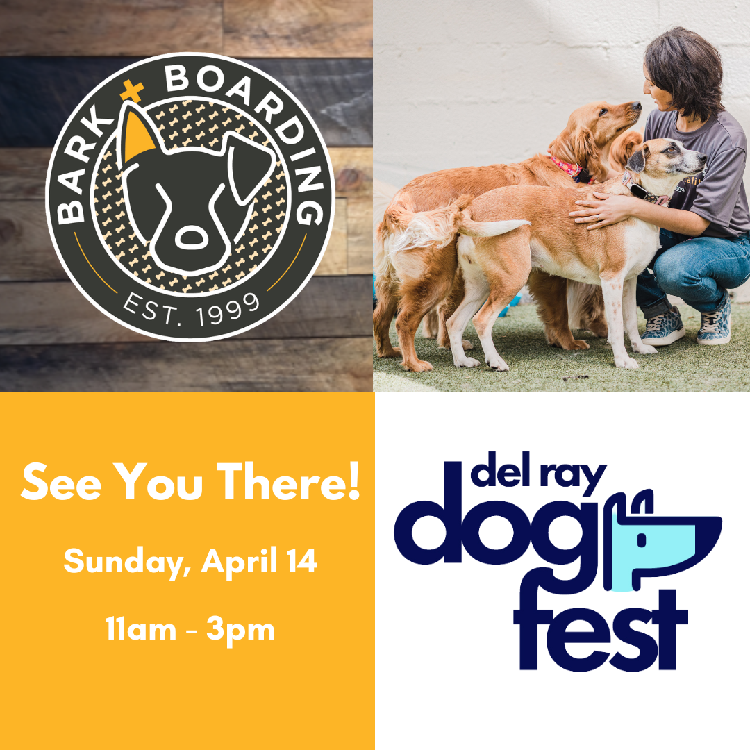 Bark + Boarding at Del Ray Dog Fest 2024 — Bark + Boarding
