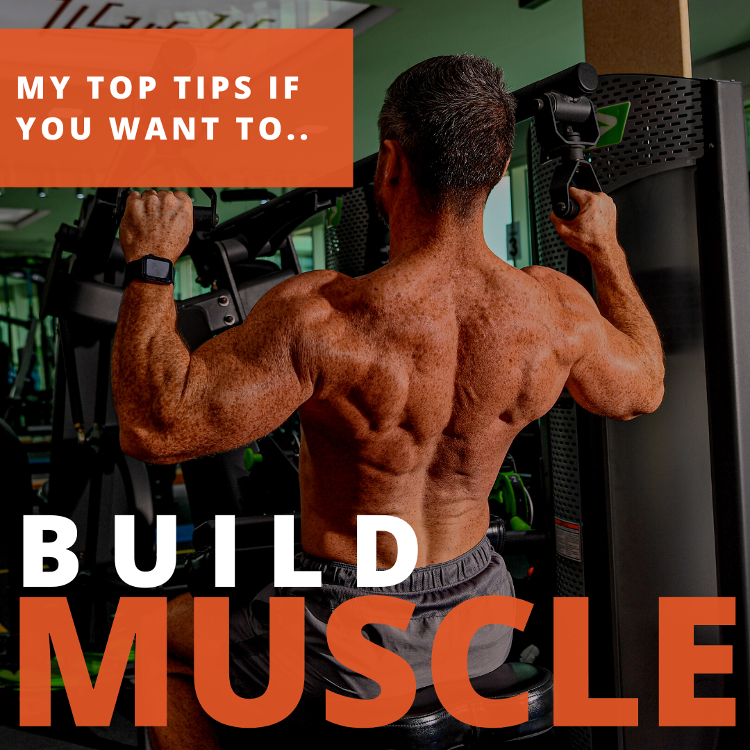 7 EXPERT TIPS FOR BUILDING MUSCLE AT THE GYM-by Coach James — Elite Fitness