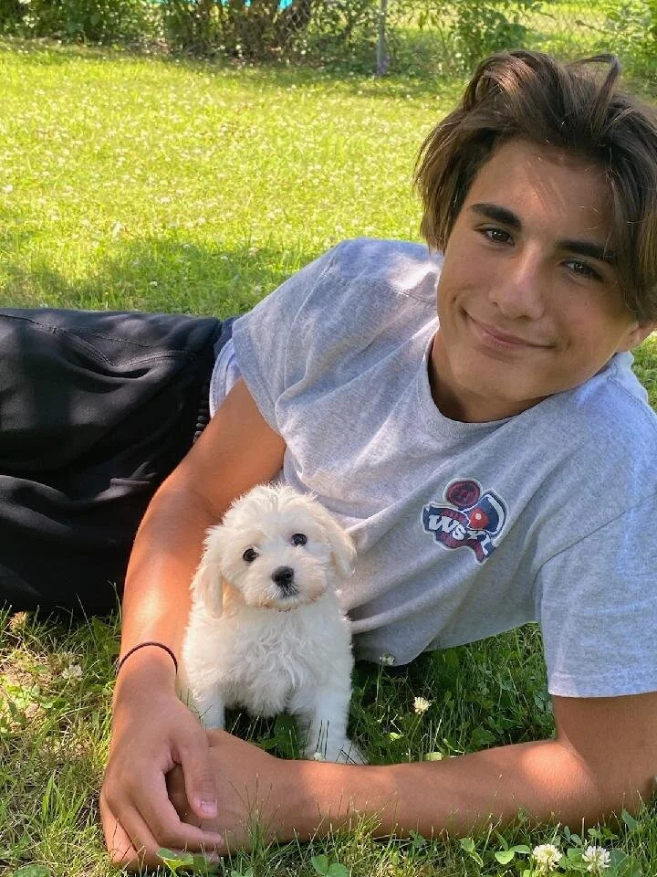 Wall of Puppies — Heritage Puppies