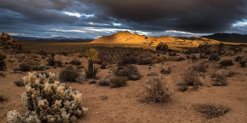 Desertification Examples