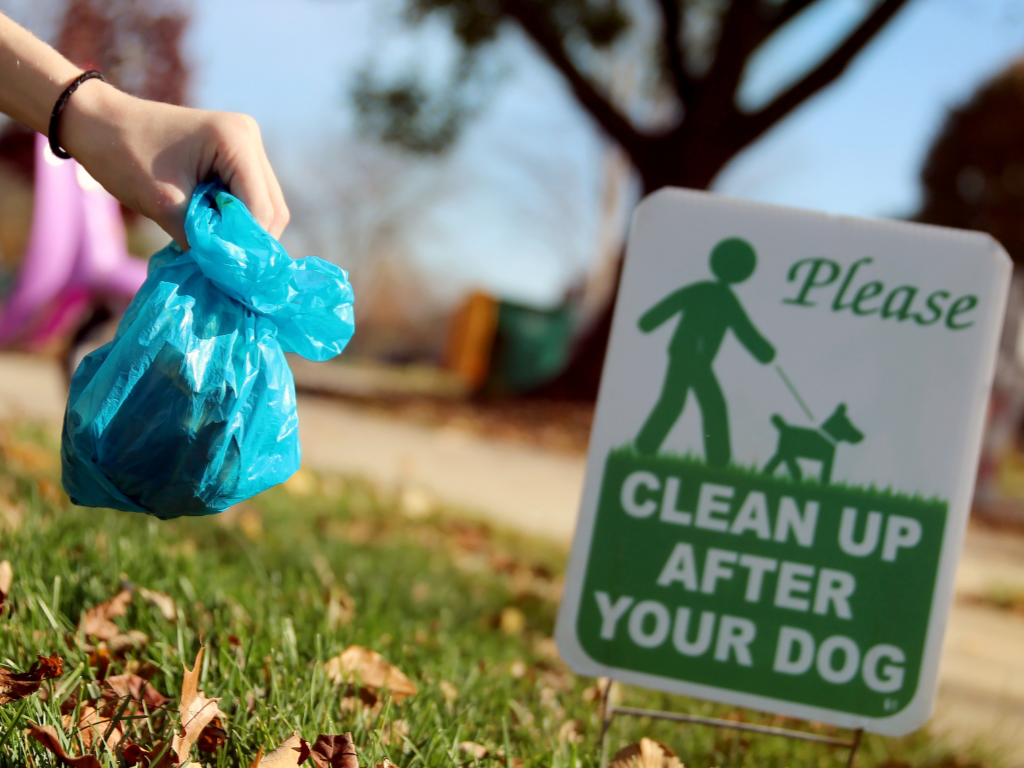 Poop to Pollution: Why Dog Waste Matters — Companion Animals New Zealand