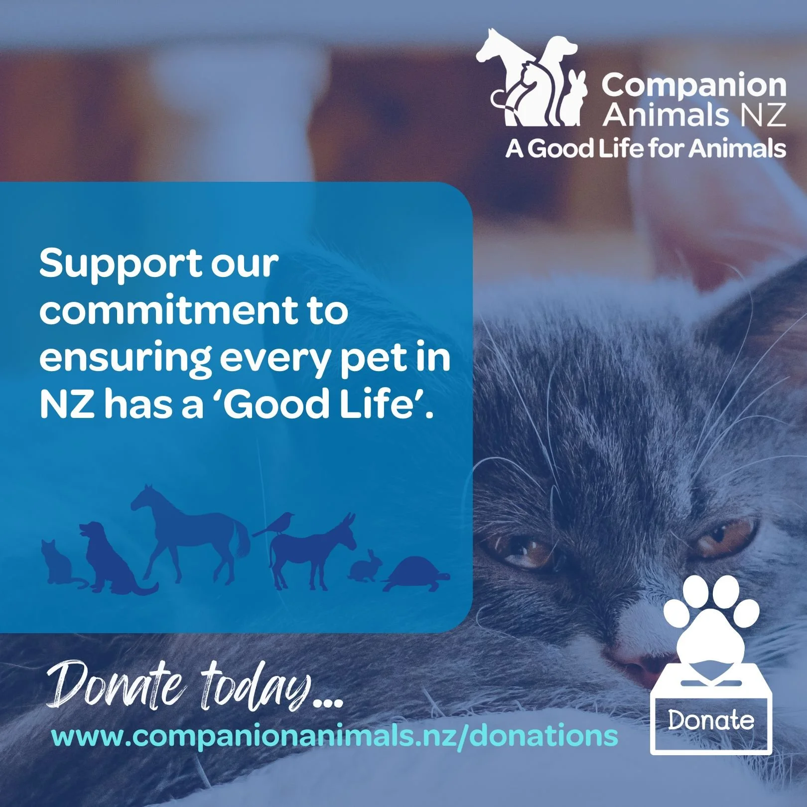 It’s tax credit time – donate to the animals and enjoy a tax credit ...