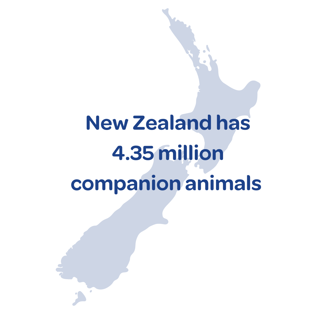 Companion Animals New Zealand
