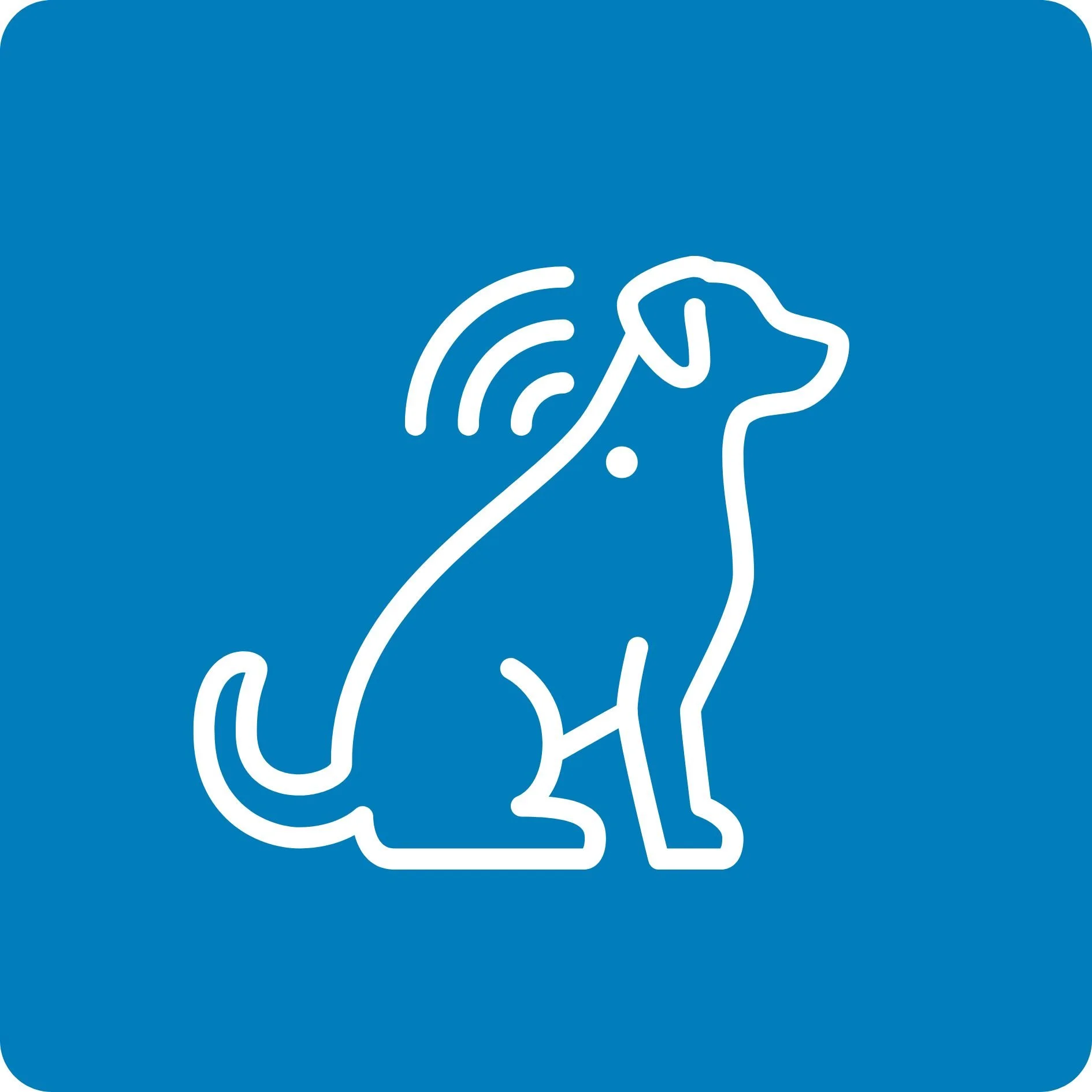 Fireworks frighten pets — Companion Animals New Zealand