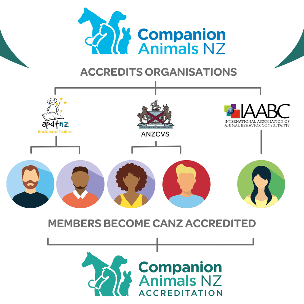 What is CANZ Accreditation? — Companion Animals New Zealand