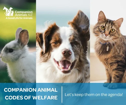 Companion Animals New Zealand encourages Government to prioritise pet ...